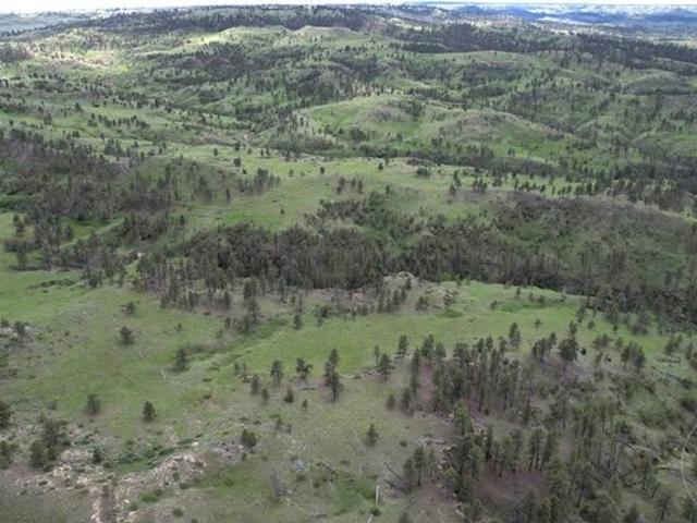 County Road 147A, Custer, MT 59024