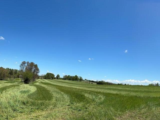 County Road 14 252, Drury, MO 65638
