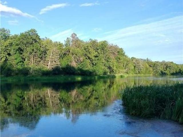 County Road 14, Nimrod, MN 56478