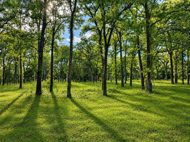 County Road 1503, Point, TX 75472