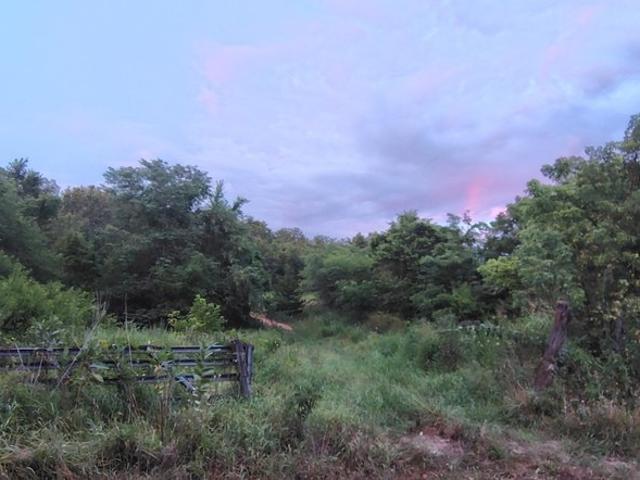 County Road 150, Preston, MO 65732