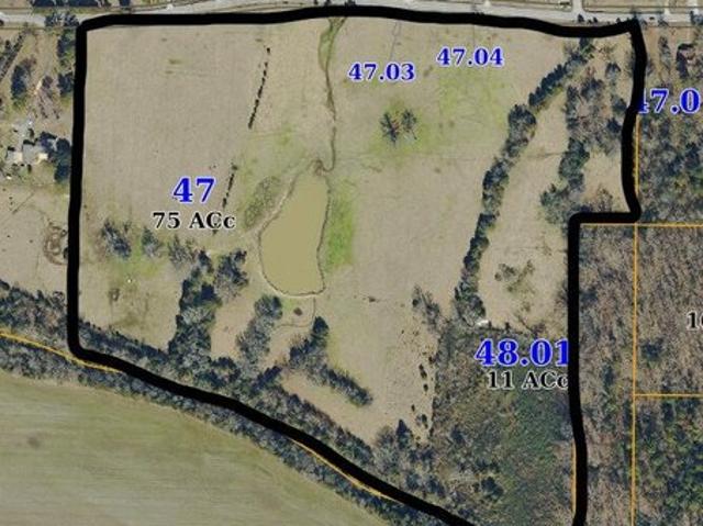 County Road 154, Shannon, MS 38868
