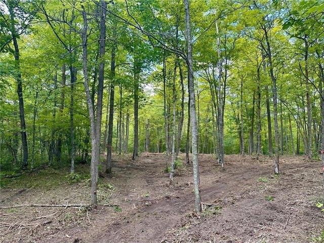 County Road 157 Ne, Remer, MN 56672