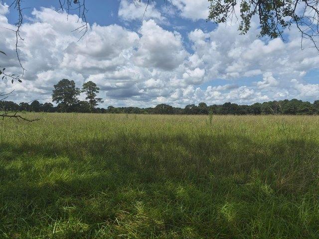 County Road 1583, Cullman, AL 35058
