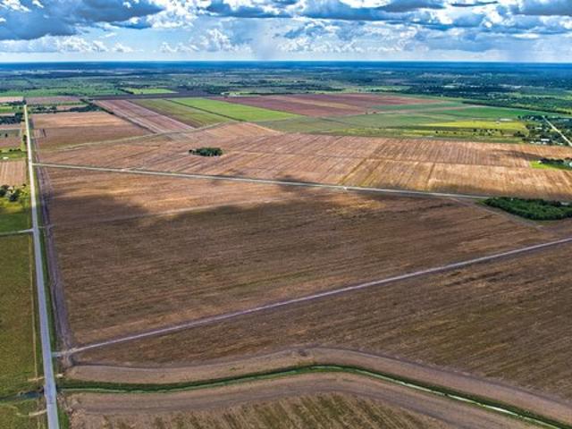 County Road 15, Damon, TX 77430