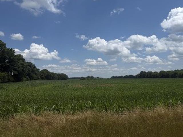 County Road 15, Florence, AL 35633