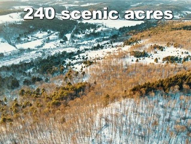 County Road 15, Mount Vision, NY 13810