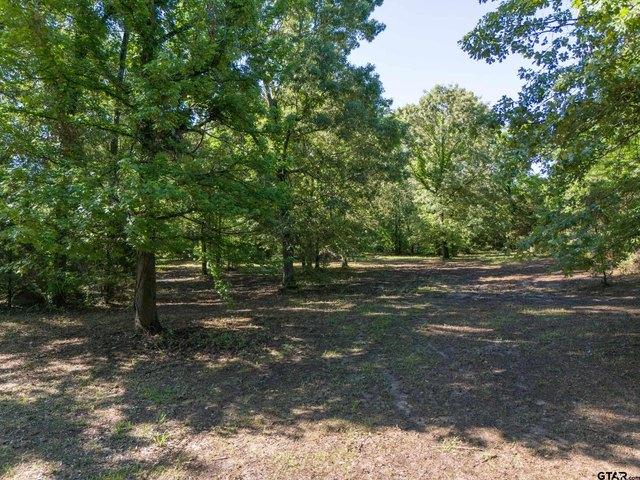 County Road 1600, Alba, TX 75410