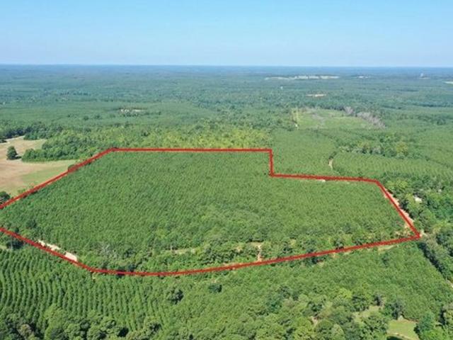 County Road 1619, Linden, TX 75563