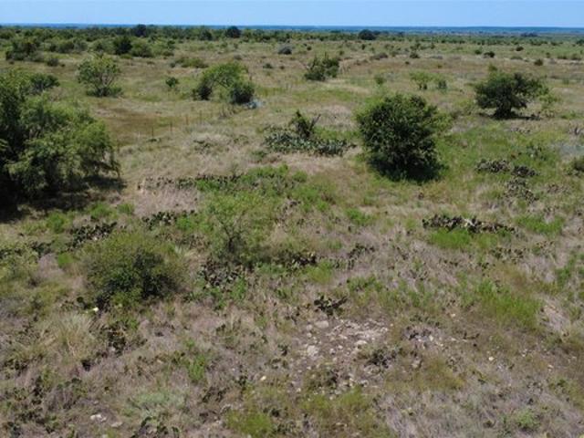 County Road 161, Bangs, TX 76823