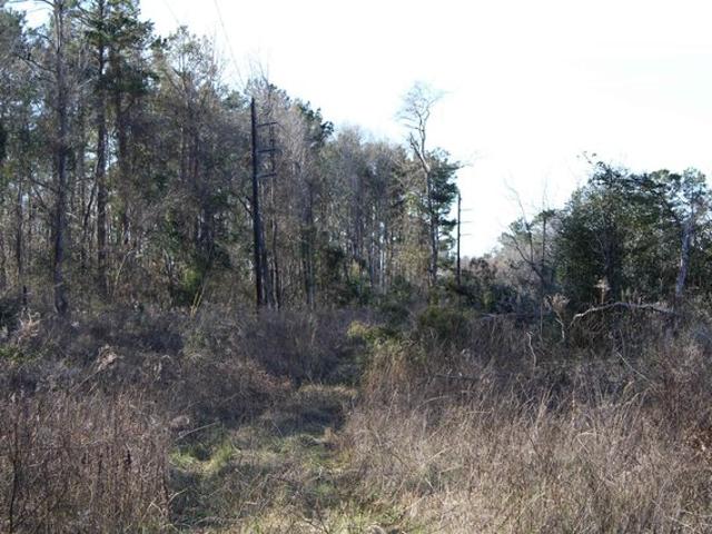 County Road 1627 10 Acres, Rusk, TX 75785
