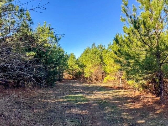 County Road 1637, Linden, TX 75563