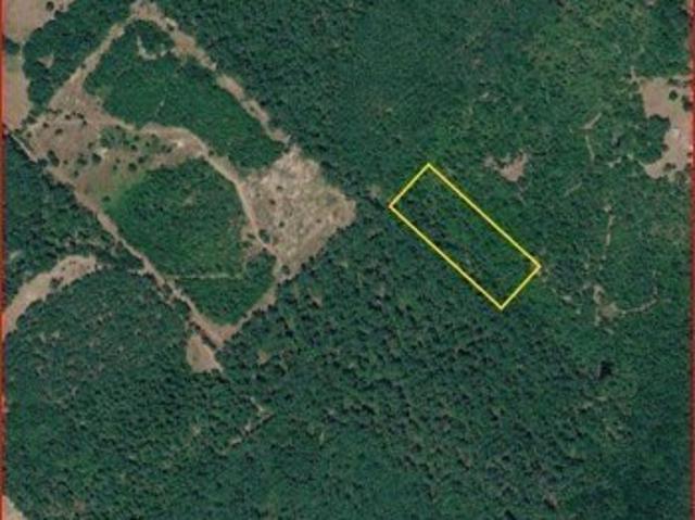County Road 1655, Crockett, TX 75835