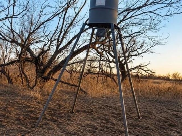 County Road 167, Colorado City, TX 79512