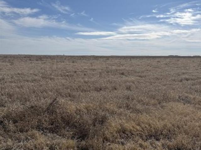 County Road 168, Haskell, TX 75921