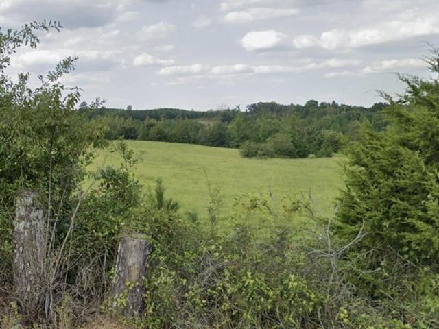 County Road 16, Belmont, MS 38827