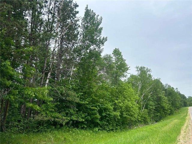 County Road 16, Cushing, MN 56443