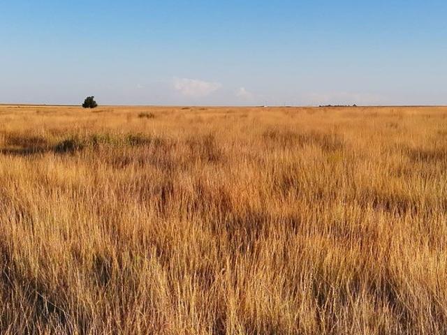 County Road 16, Deerfield, KS 67838