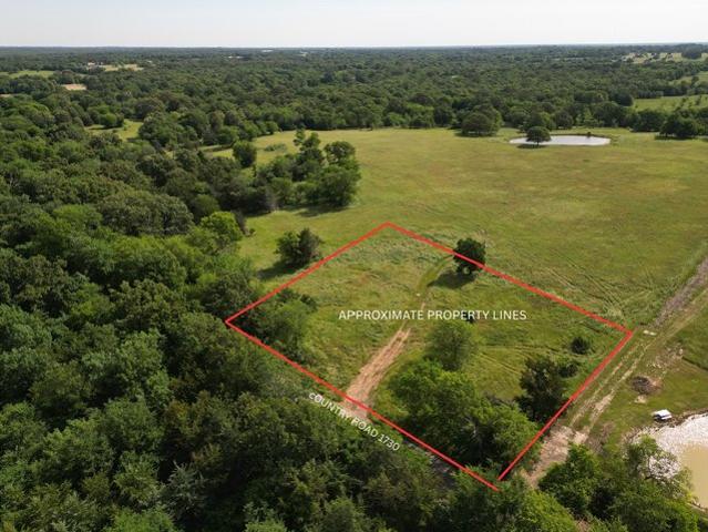 County Road 1730, Yantis, TX 75497