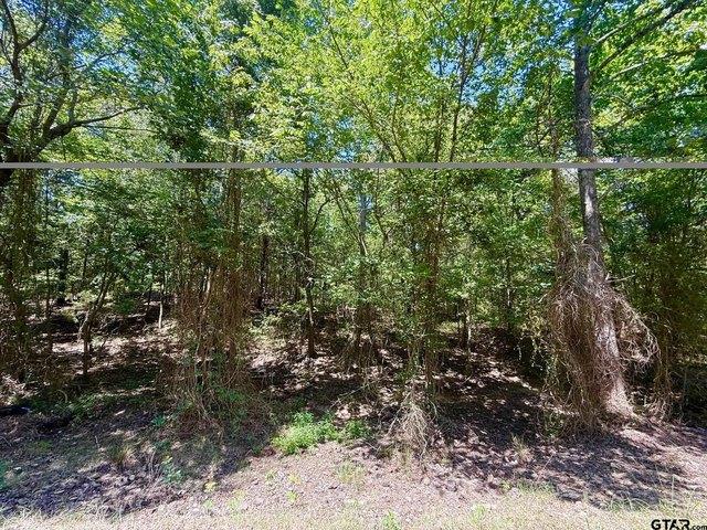 County Road 1755, Mount Pleasant, TX 75455