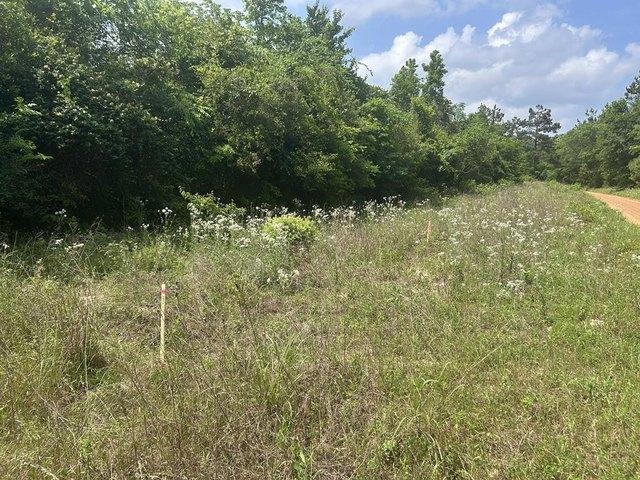 Dobbs County Road 175 Rd Lot 12, Garrison, TX 75946