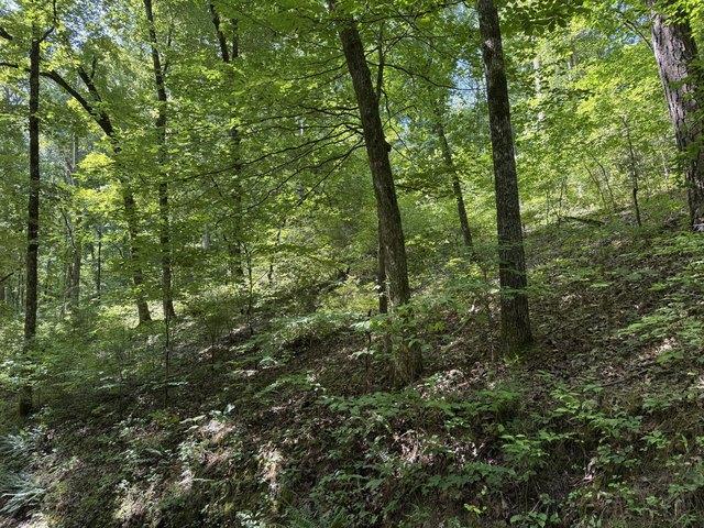 County Road 179, Dora, MO 65637