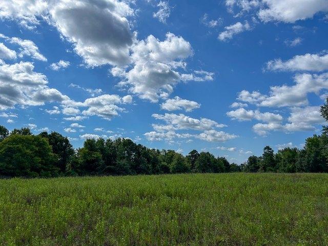 County Road 1804, Rusk, TX 75785