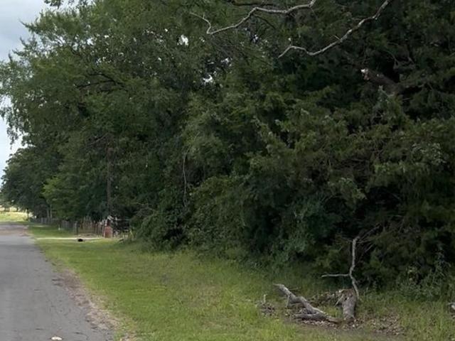 County Road 1805, Grand Saline, TX 75140