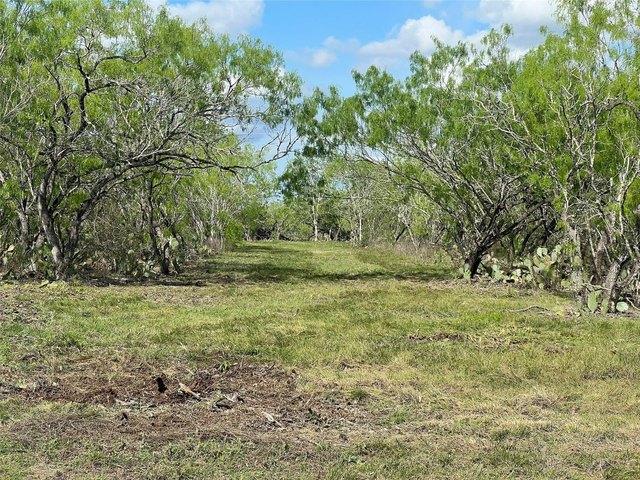 County Road 180, Smiley, TX 78159