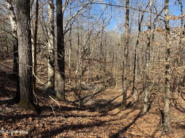 County Road 186, Coffeeville, MS 38922