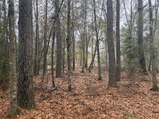 County Road 1875, Warren, TX 77351