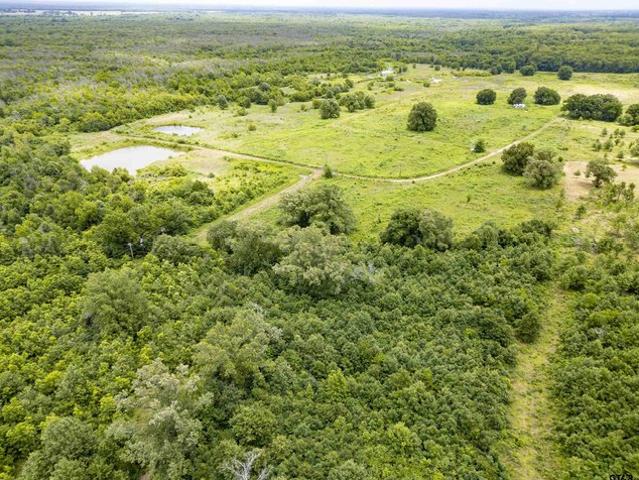 County Road 1915, Mount Pleasant, TX 75455