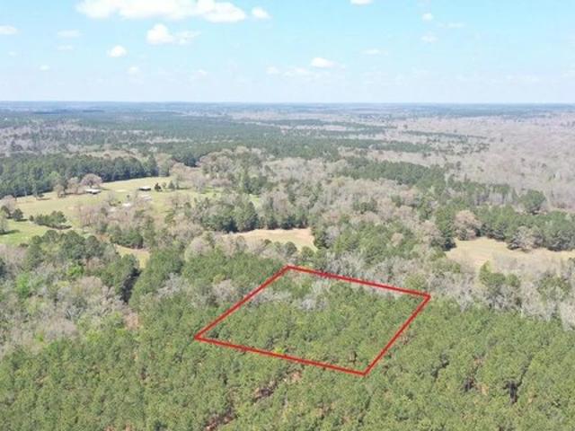 County Road 1926, Linden, TX 75563