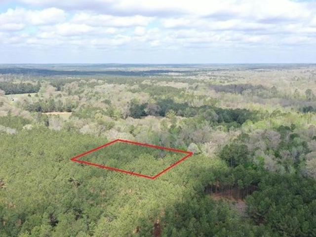 County Road 1926, Linden, TX 75563