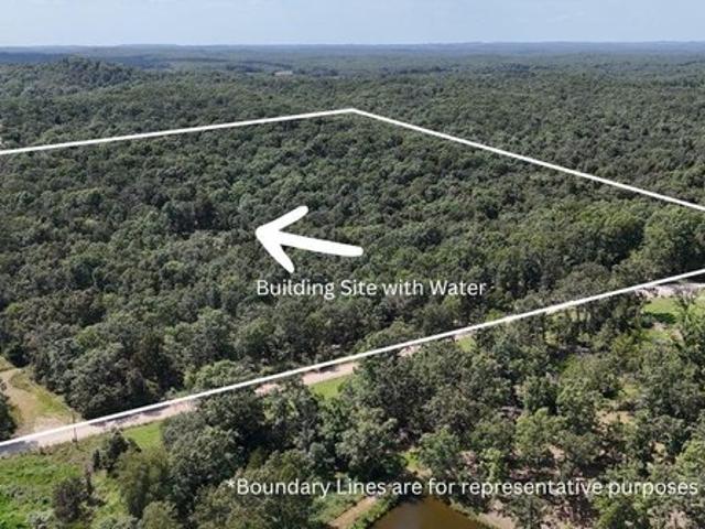 County Road 1990, Willow Springs, MO 65793