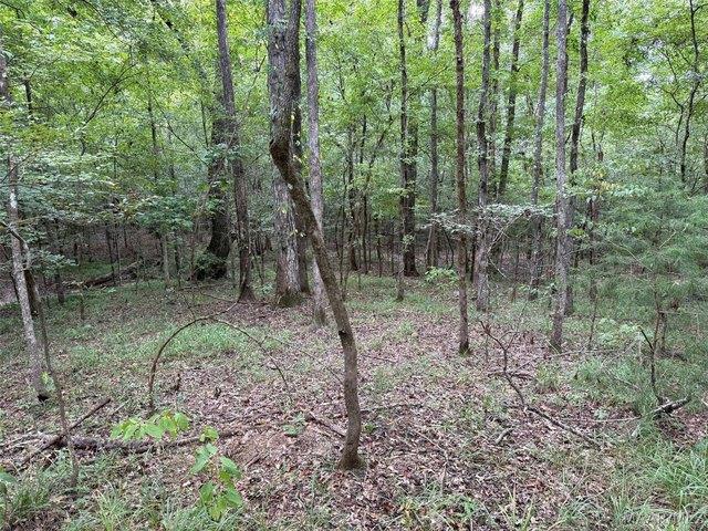 County Road 199, Troy, AL 36081