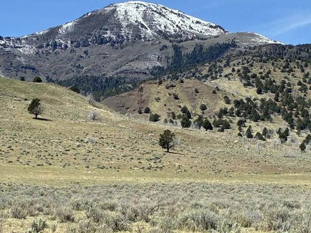 County Road 1, Eagleville, CA 96110