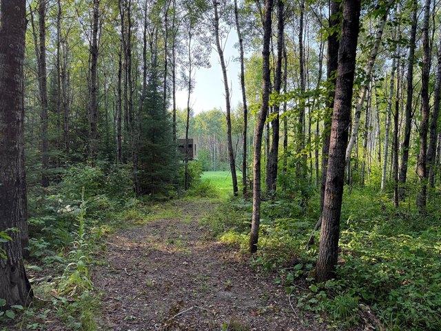 County Road 1, Emily, MN 56447