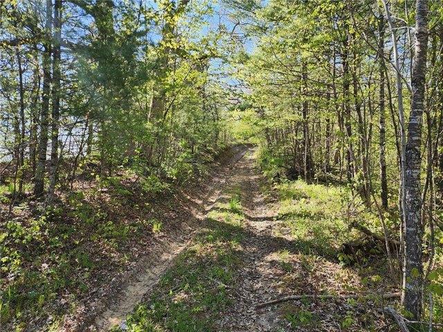 County Road 1 Se, Pleasant Grove, MN 55976