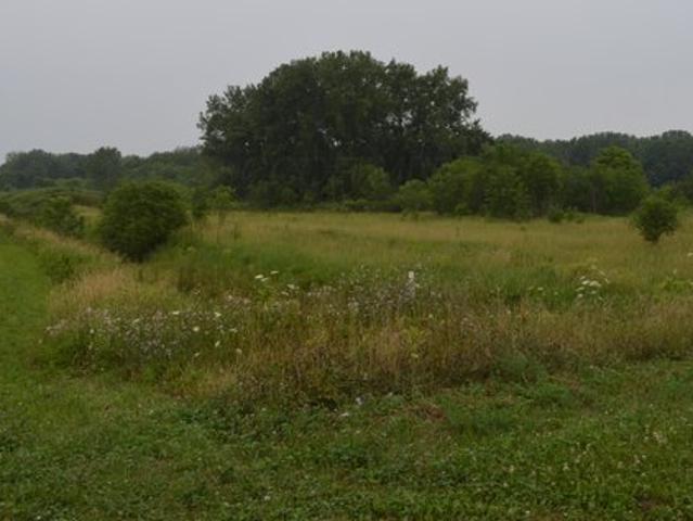 County Road 23, Archbold, OH 43502
