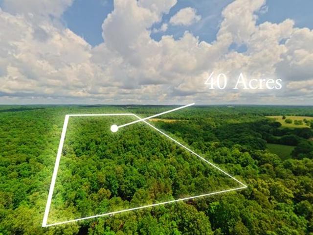County Road 200, Alton, MO 65606