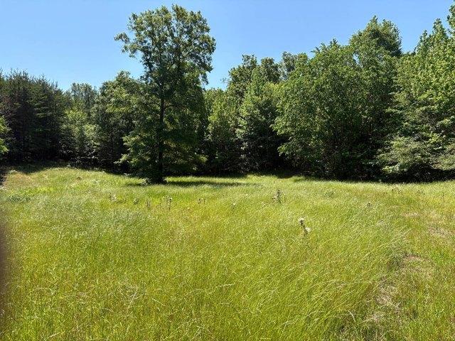 County Road 202, Calera, AL 35040