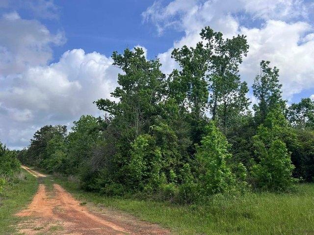 County Road 2041, Newton, TX 75966