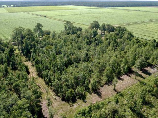 County Road 208, Saint Augustine, FL 32092