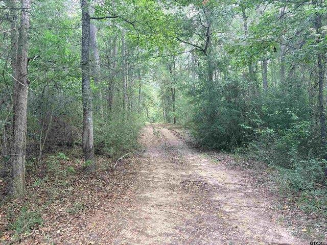 County Road 2125, Rusk, TX 75785