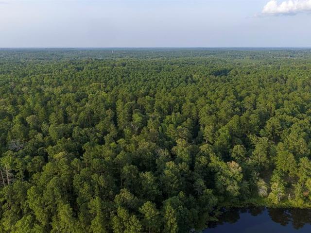 County Road 2136, Tatum, TX 75691