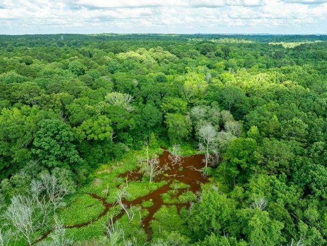 County Road 2137D, Tatum, TX 75961