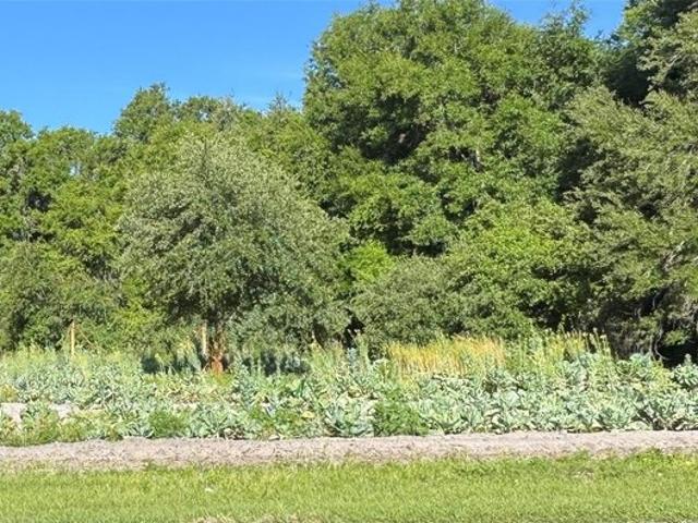County Road 213, Wildwood, FL 34785
