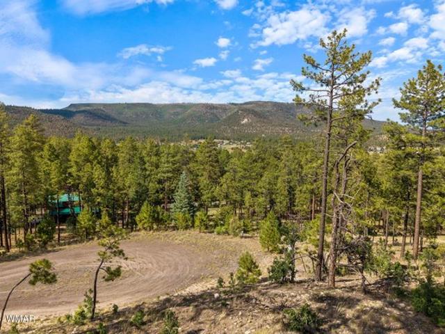County Road 2193, Alpine, AZ 85920