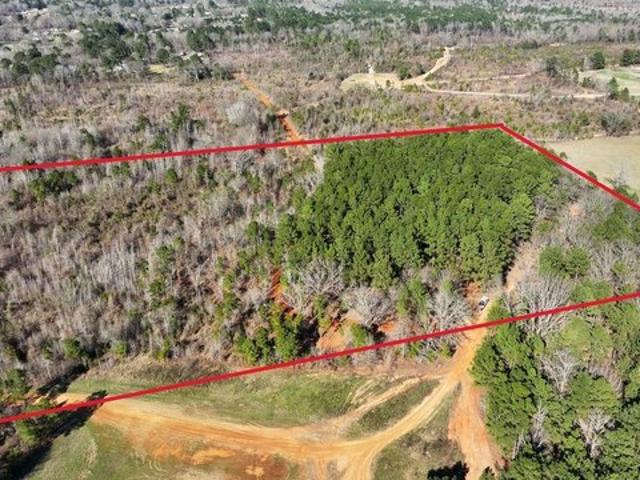 County Road 2208D, Easton, TX 75603